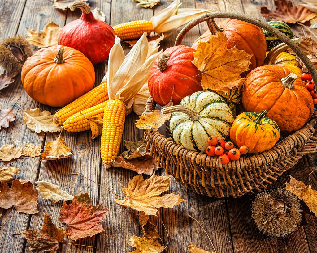 Fall backyard party ideas: 12 ways to celebrate fall | Gardeningetc