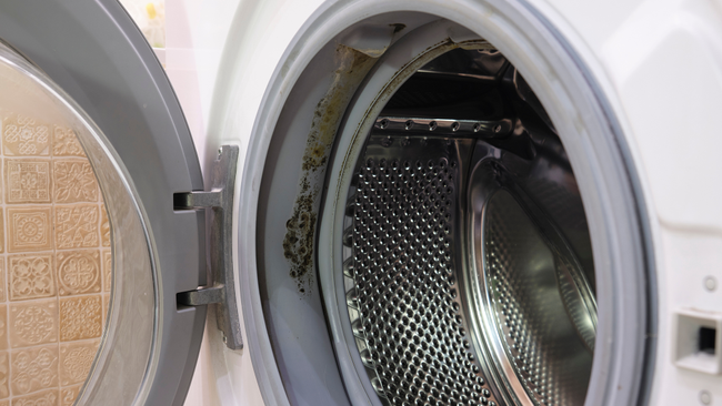 This one item is your secret weapon against washing machine mold — and ...
