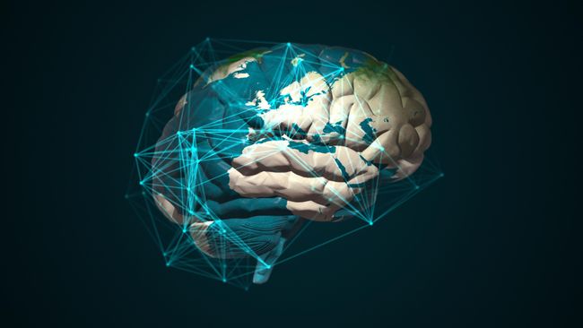 Semantic Memory Definition And Examples Live Science