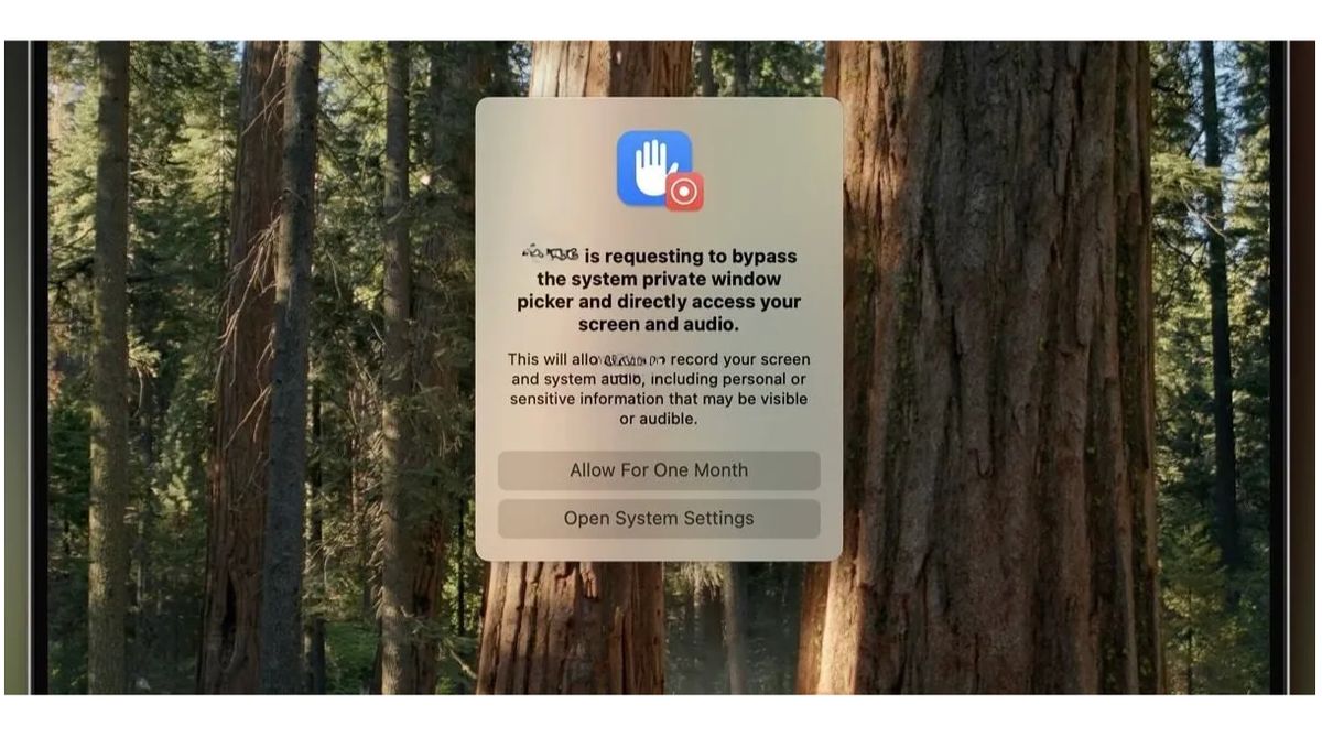 On macOS Sequoia you’ll only have to deal with screen recording ...