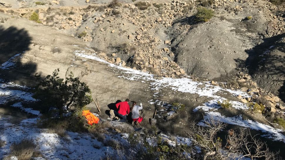 Titanic 12-foot turtle cruised the ocean 80 million years ago, newfound ...