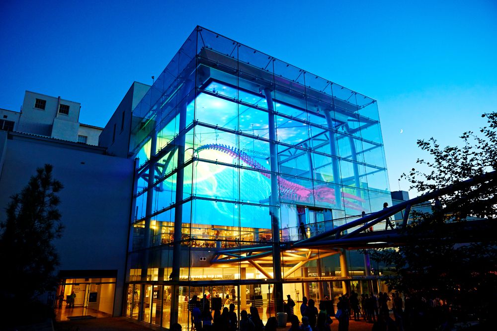 Photos: Rare Diamonds Make US Debut at LA Natural History Museum | Live ...