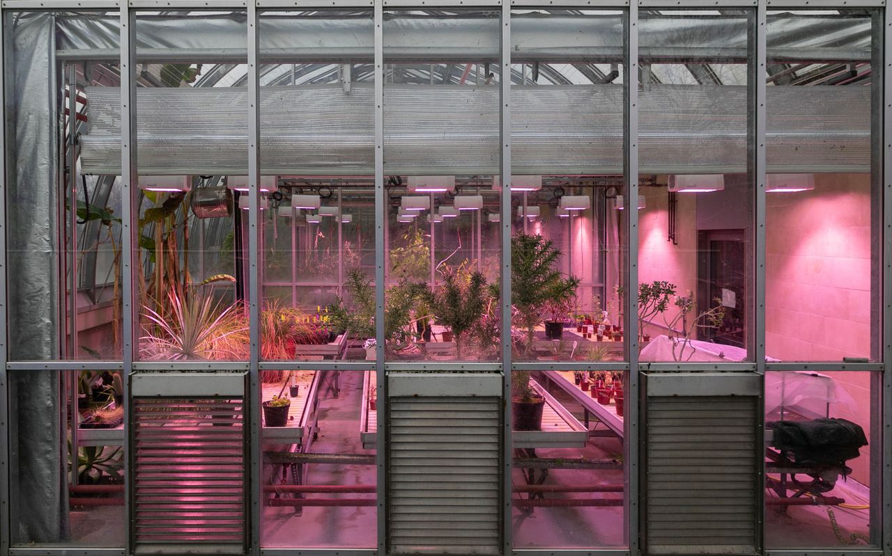 #CreateCOP26 winner announced ahead of UN climate conference | Wallpaper*
