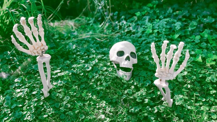 Miniclip, home of childhood nostalgia, is finally dead | PC Gamer