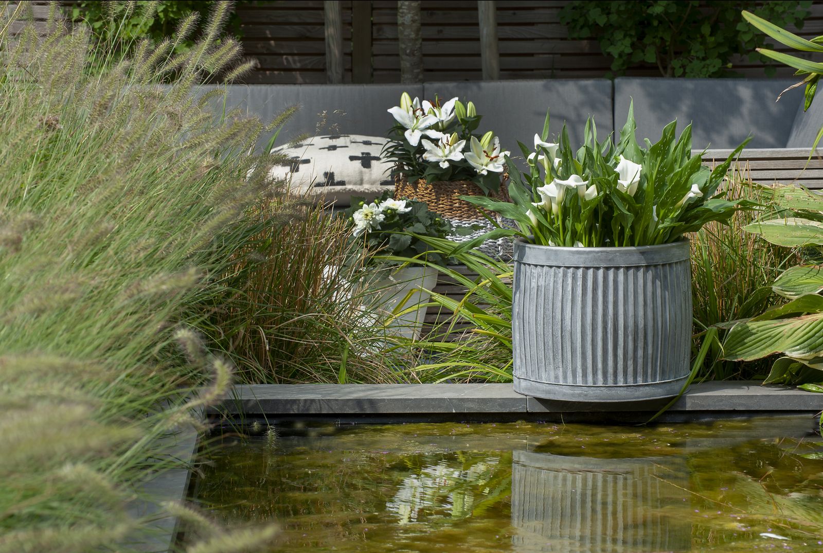 Planter box ideas: 10 ways to create spectacular displays | Homes and ...