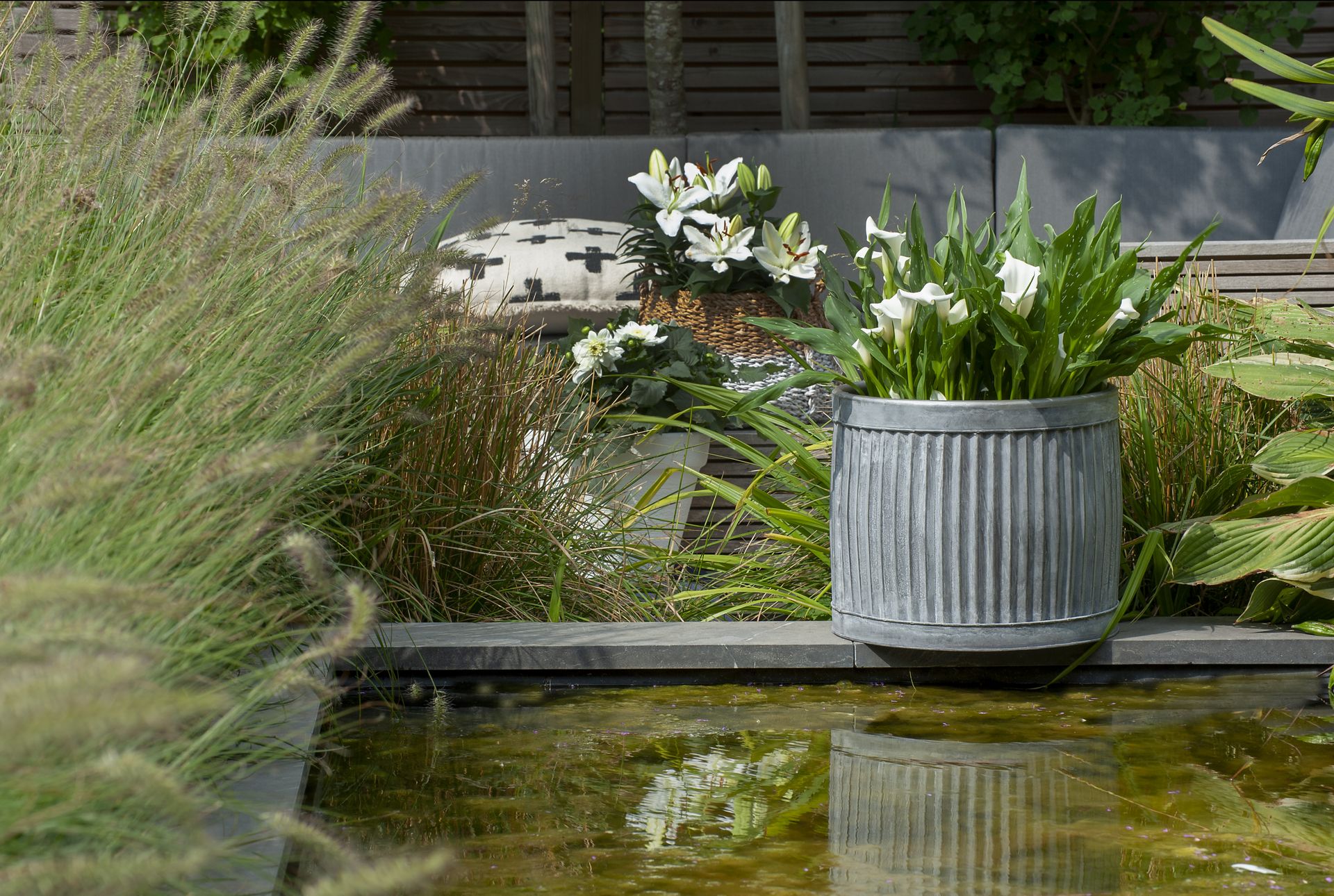 Planter box ideas: 10 ways to create spectacular displays | Homes and ...