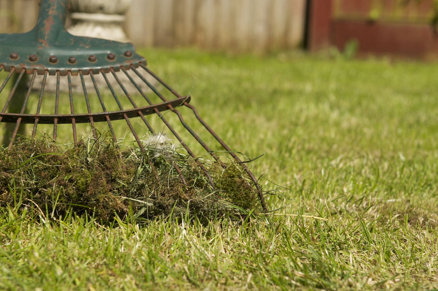6 Ways To Revive Your Lawn After Winter —For a More Lush Backyard ...