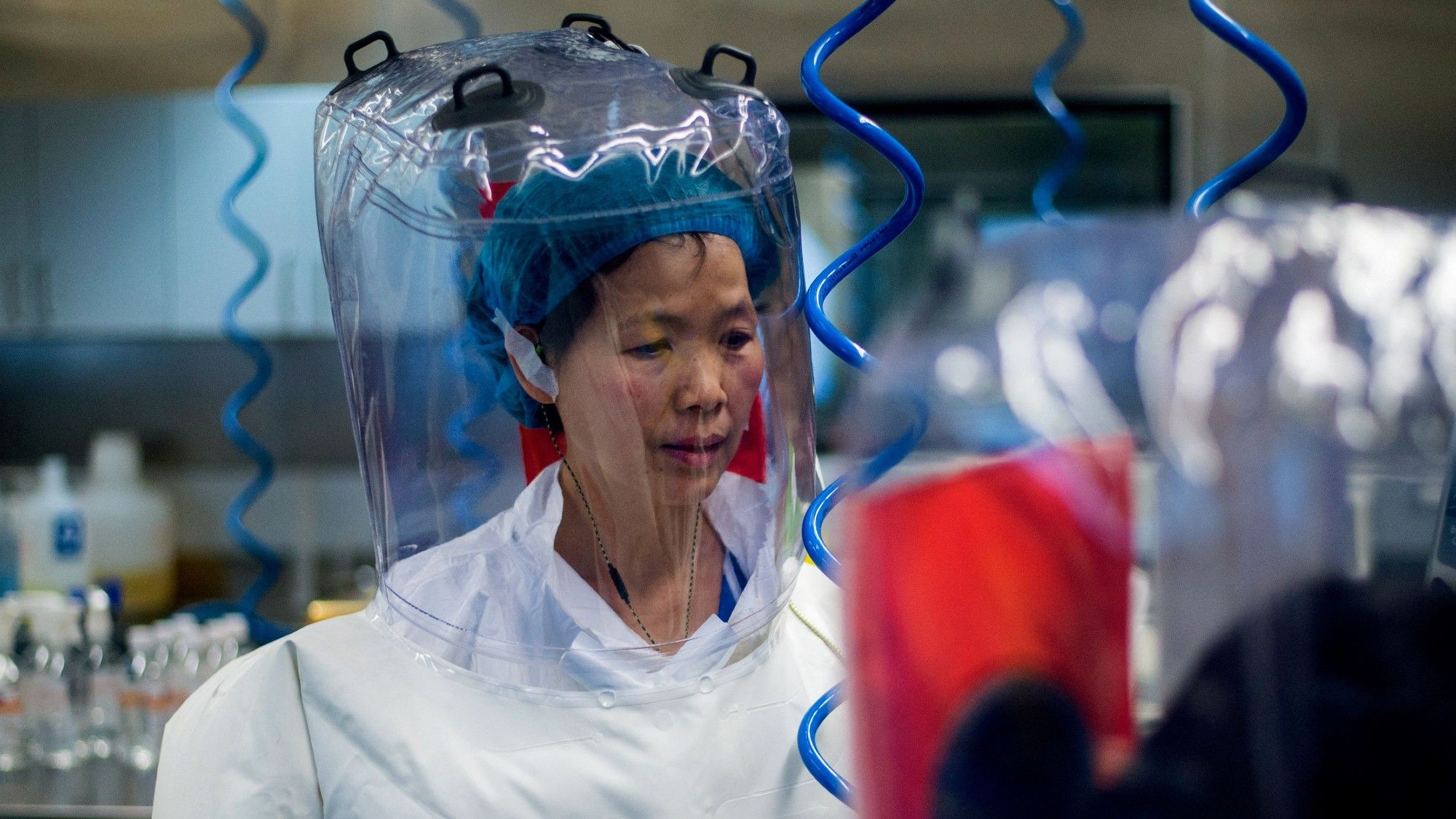 Did the Covid virus leak from a lab? | The Week