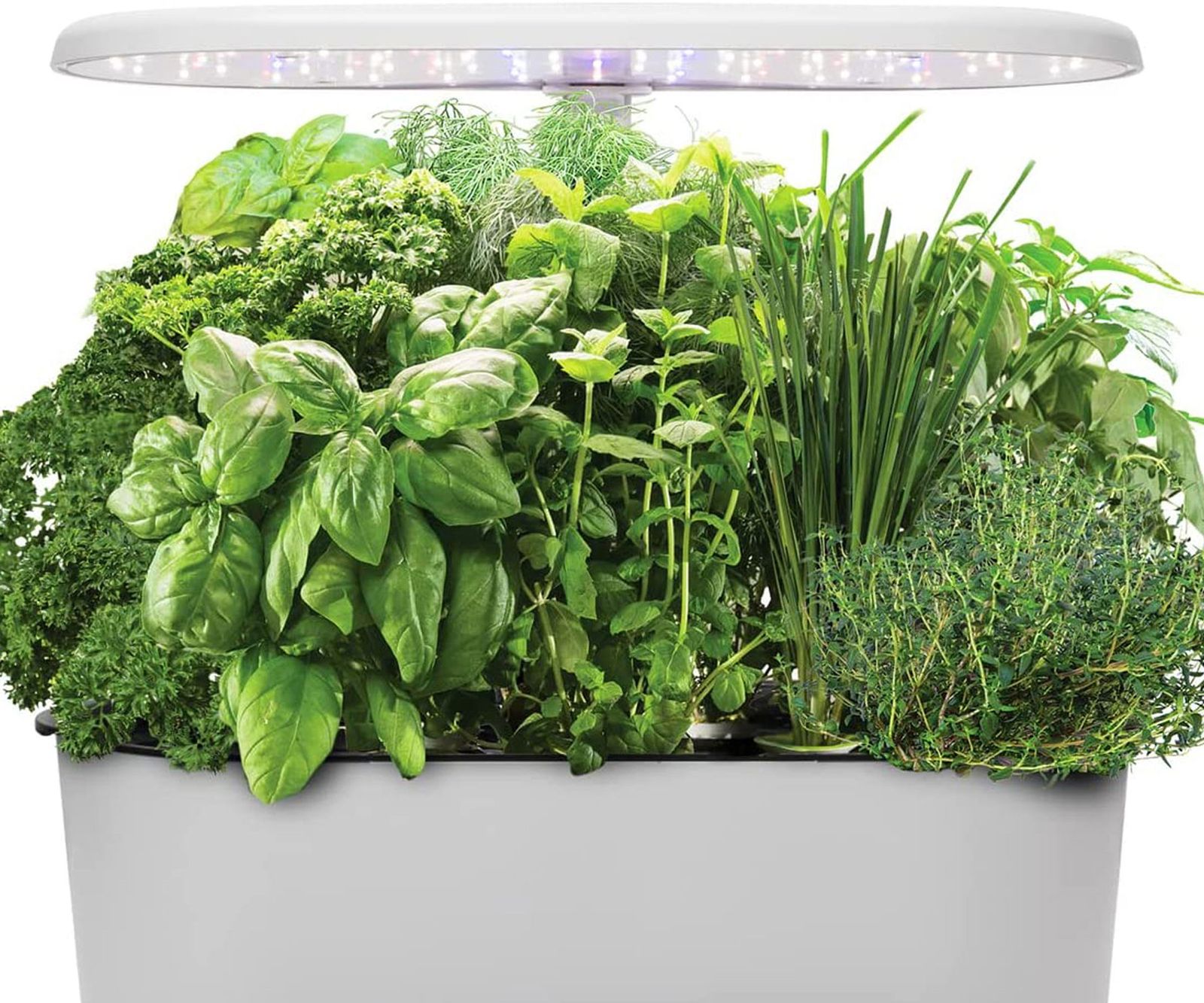 How to grow plants in water all year round: top tips | Homes and Gardens