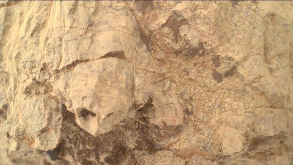 NASA spots bizarre 'turtle' on Mars | Live Science