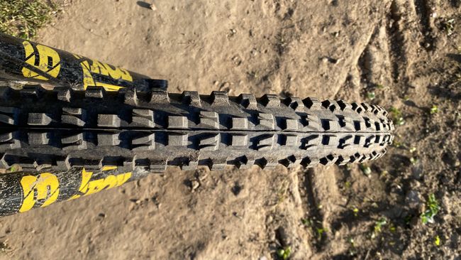 Maxxis Minion DHF review | Bike Perfect
