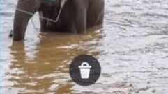 How to use Twitter Stickers | TechRadar