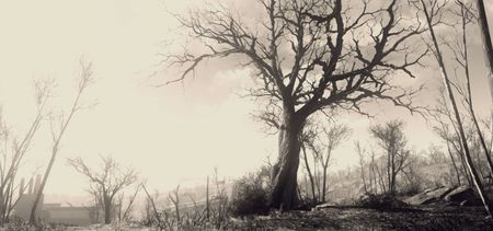 Fallout 4 5K gallery: post-apocalyptic photographer | PC Gamer