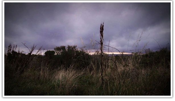 Create high quality cinemagraphs with CSS3 and jQuery | Creative Bloq