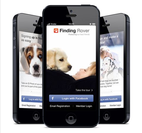 App finds lost dogs through facial recognition | Creative Bloq