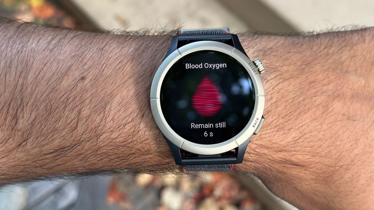 Amazfit Cheetah Pro review: A Garmin Forerunner Lite with more bells ...