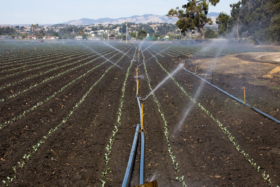 Aquifers: Underground Stores of Freshwater | Live Science