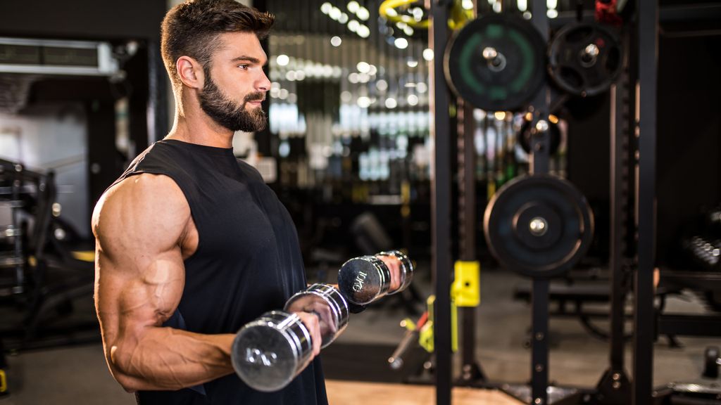 4 exercises to build muscular forearms and mega grip strength | T3