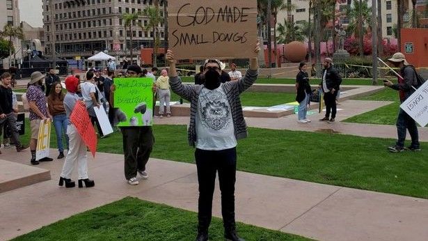 Small Dong March demands end to stigma around small penises | The Week