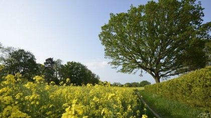 10 surefire ways to get your sharpest-ever photos | TechRadar