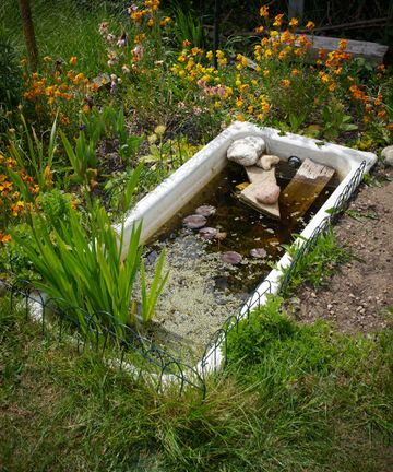 Budget pond ideas: 14 ways to create a stunning feature with water for ...