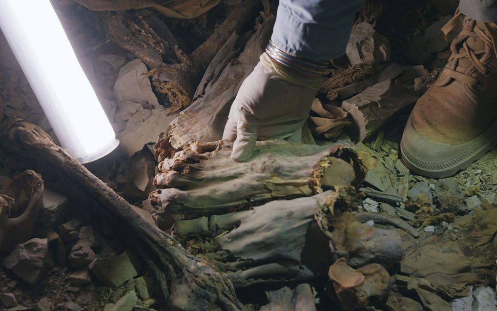 60 Ancient Egyptian Mummies Entombed Together Died 'Bloody, Fearsome ...