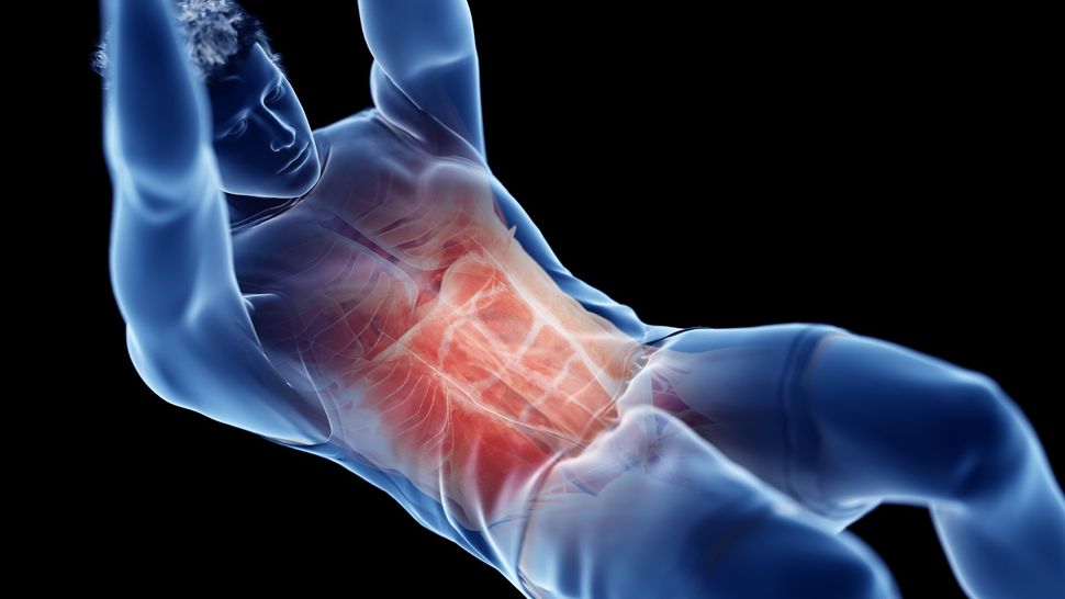 Abs vs core muscles — here’s why you should know the difference | Tom's ...