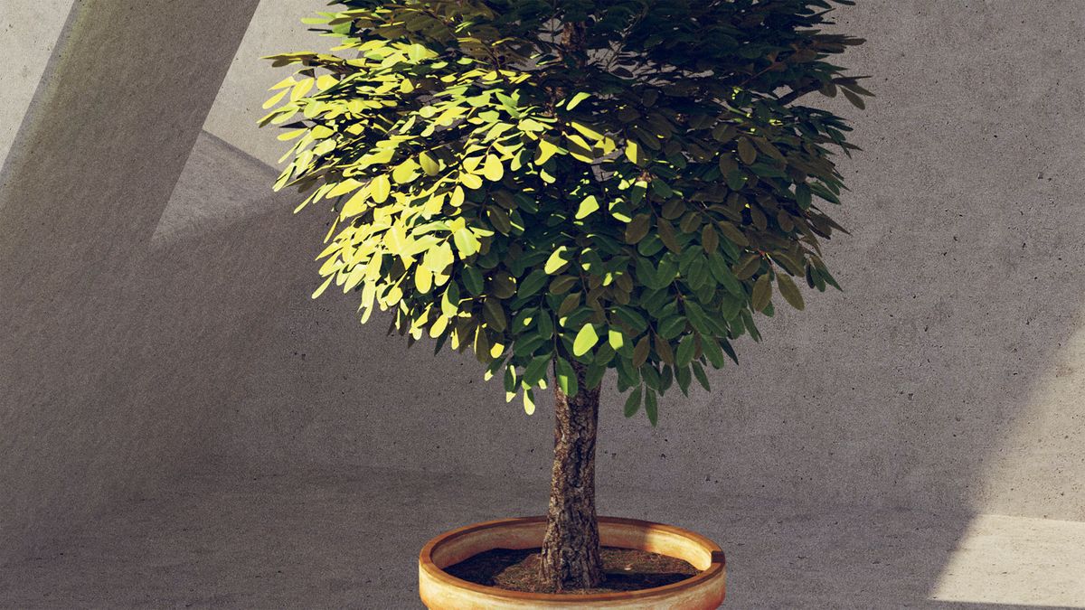 Make realistic plants in Cinema 4D | Creative Bloq