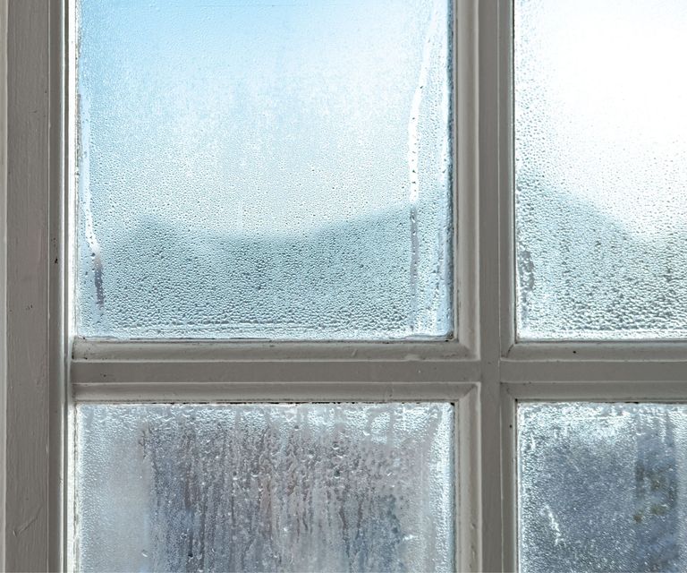 Why is there condensation on the outside of my windows? | Homes and Gardens