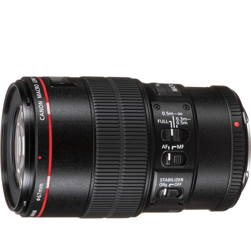 The best macro lenses | Digital Camera World