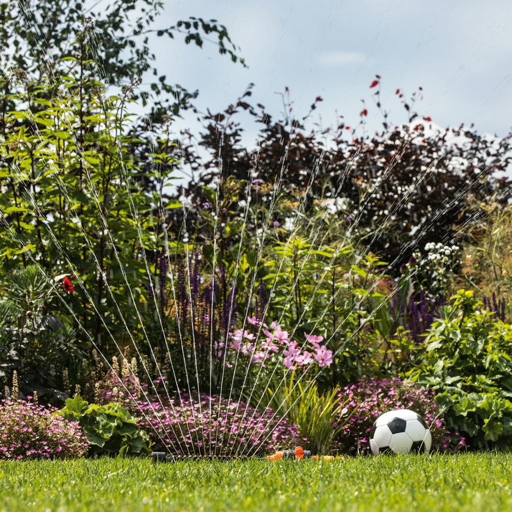 How to set up a drip watering system - an expert guide | Ideal Home