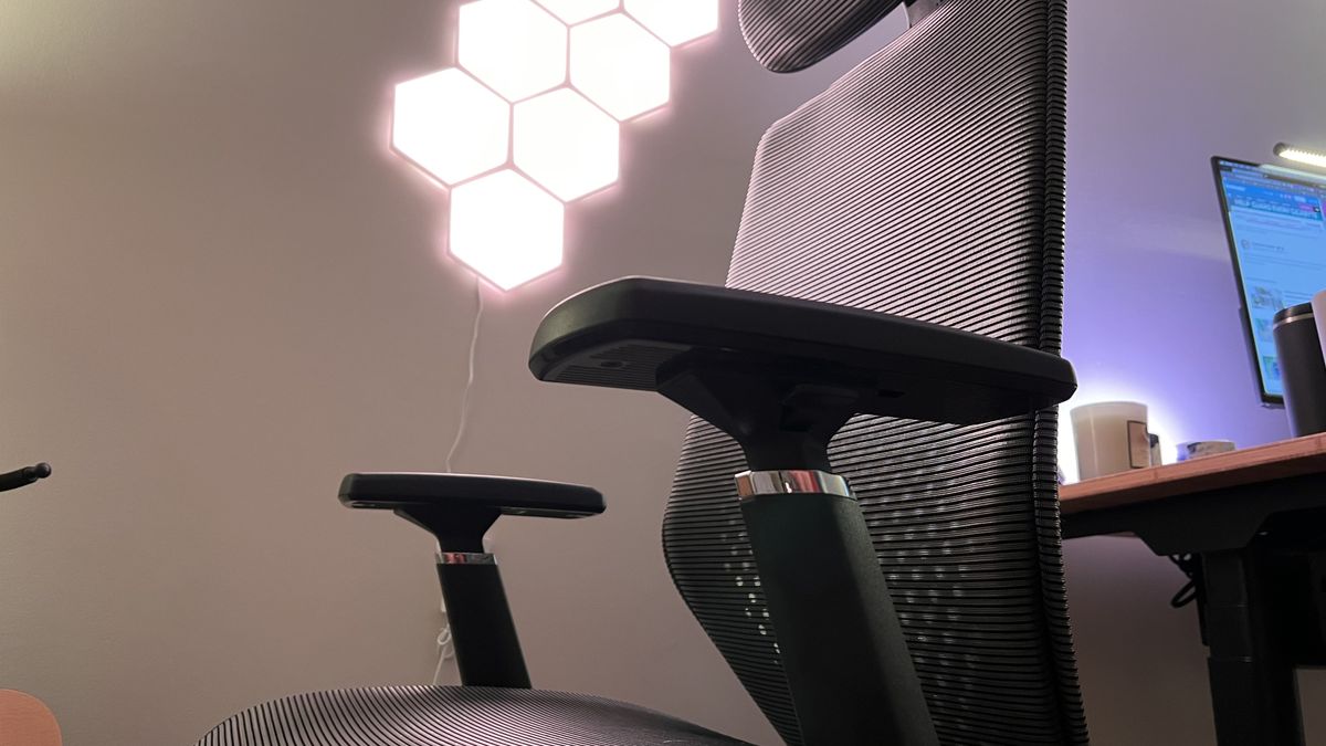 Flexispot OC14 Ergonomic Chair Pro | TechRadar
