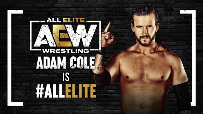 AEW Fight Forever roster guide for all available wrestlers | GamesRadar+