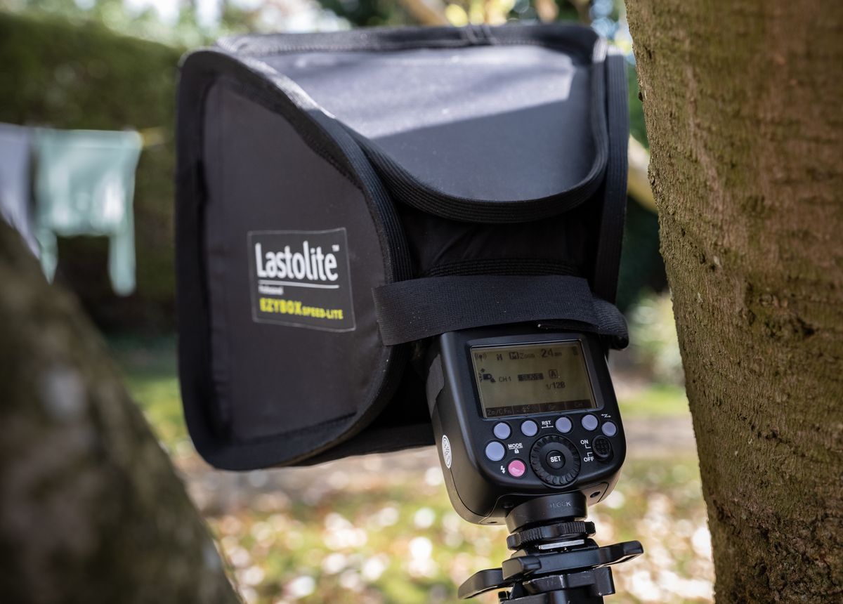 Get ready to capture photographs of garden birds | Digital Camera World