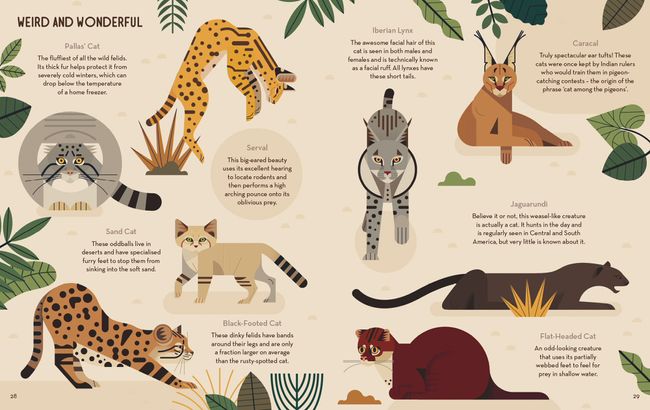 You’ll love these big cat illustrations | Creative Bloq