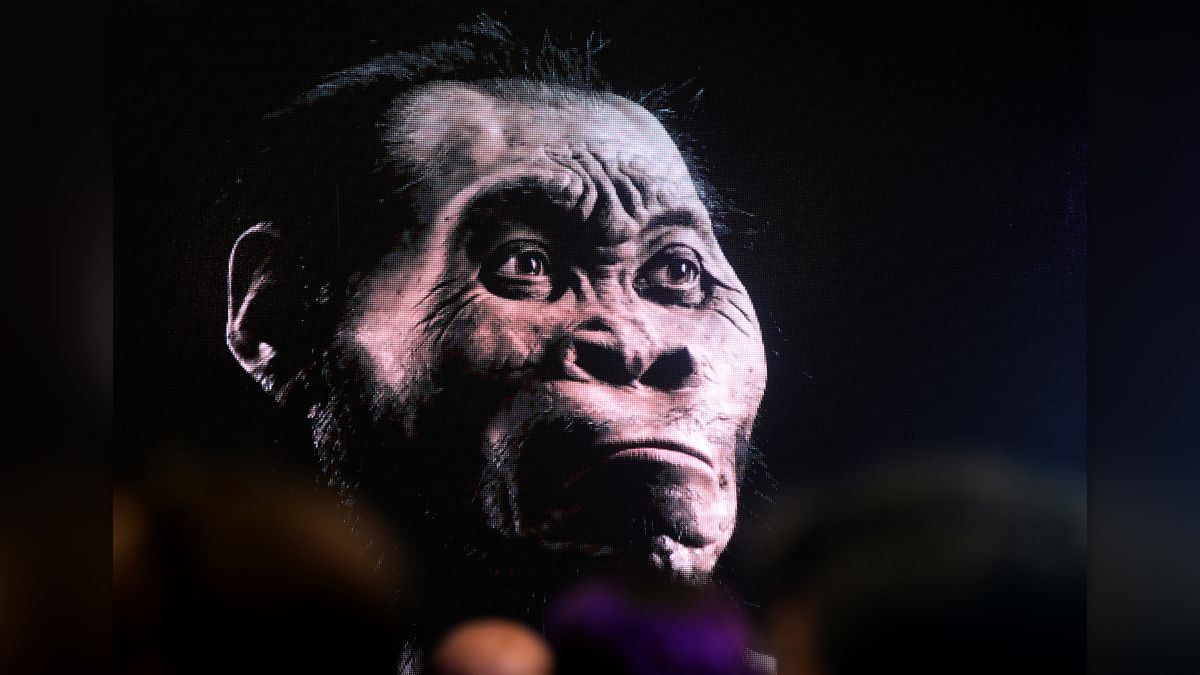 Our mixed-up human family: 8 human relatives that went extinct (and 1 ...