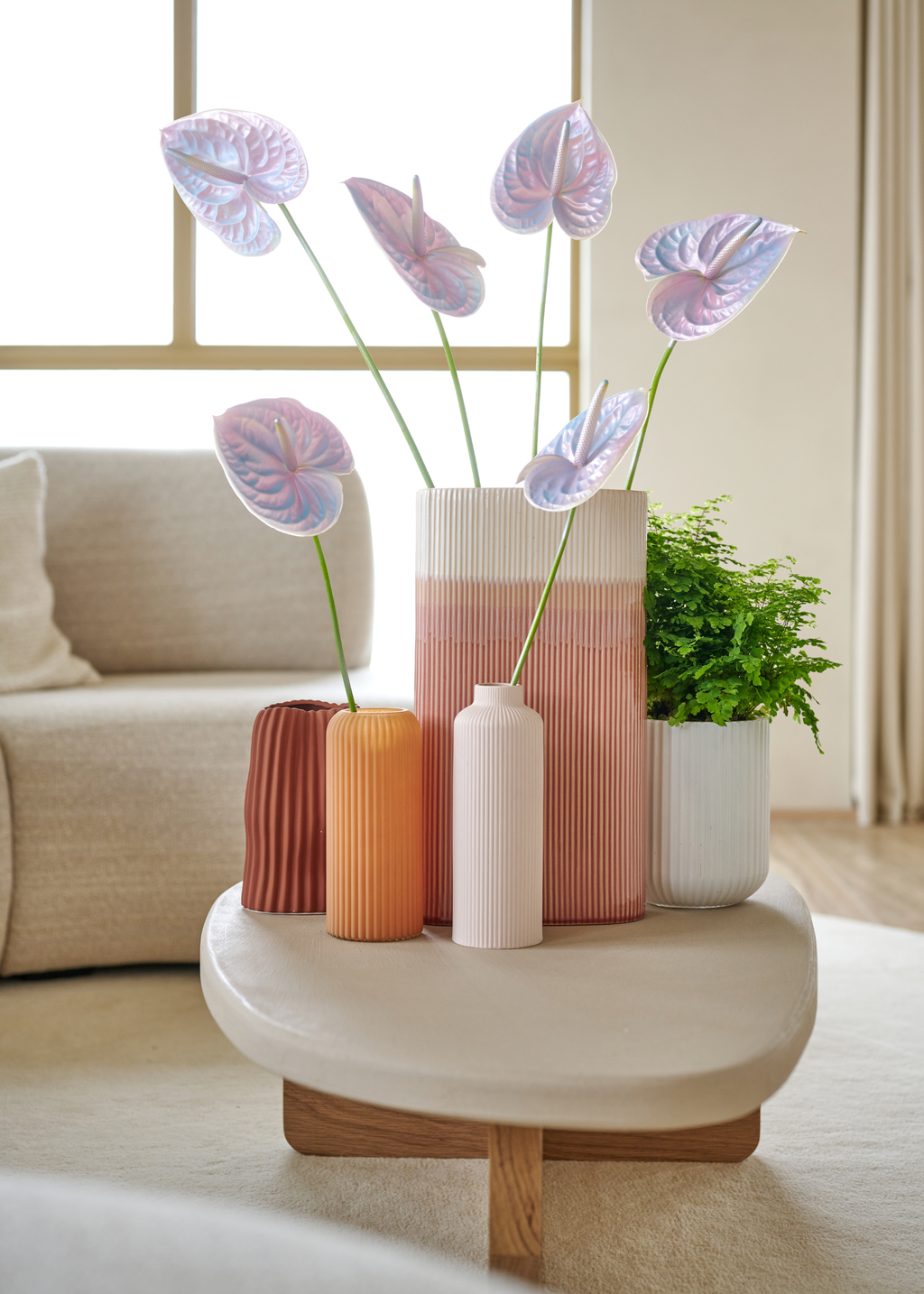 Types of Anthuriums — 5 Stylish Picks to Bring Home | Livingetc