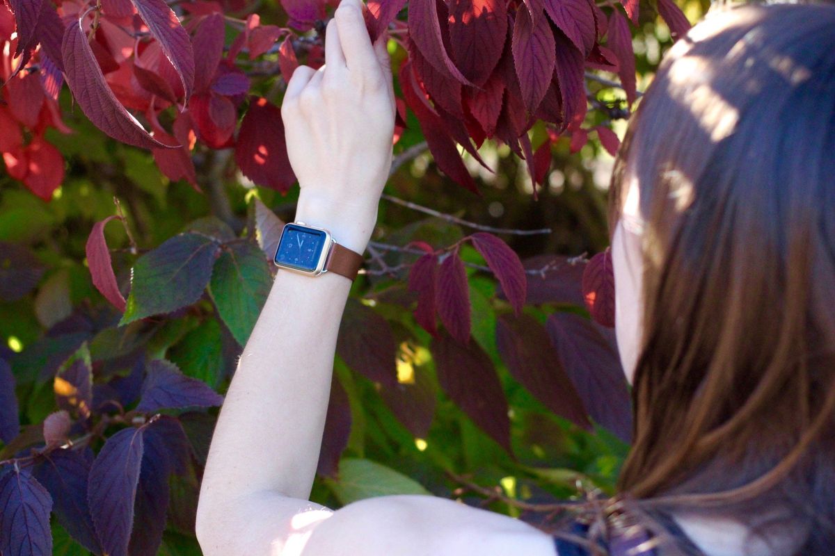 Apple Modern Buckle Watch Band Review| iMore | iMore