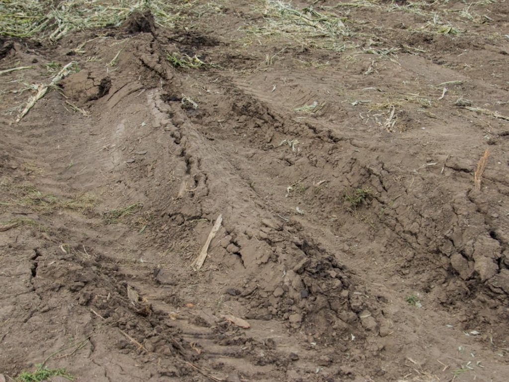 Loosening Compacted Soil: How To Improve Soil Compaction | Gardening ...