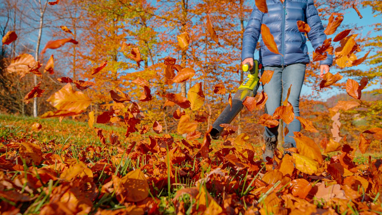 How Early Can You Use a Leaf Blower? Etiquette Tips for Fall ...