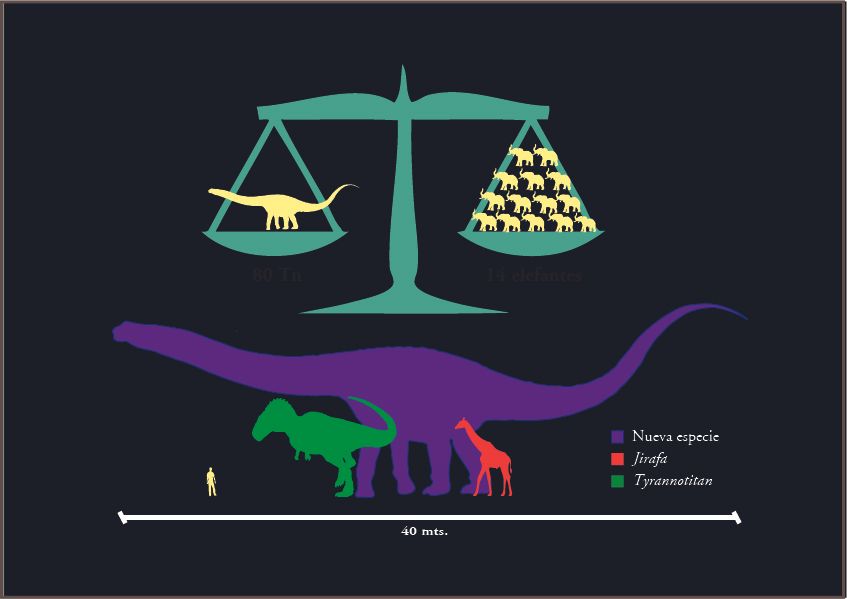 Photos: One of the World's Biggest Dinosaurs Discovered | Live Science