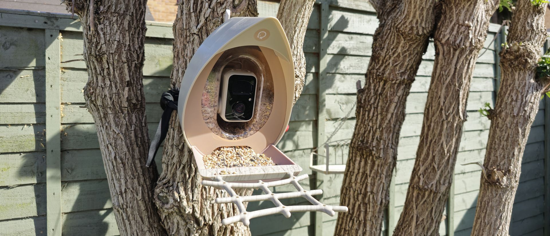 PeckPerk Smart Bird Feeder camera review: This acorn-shaped AI bird ...