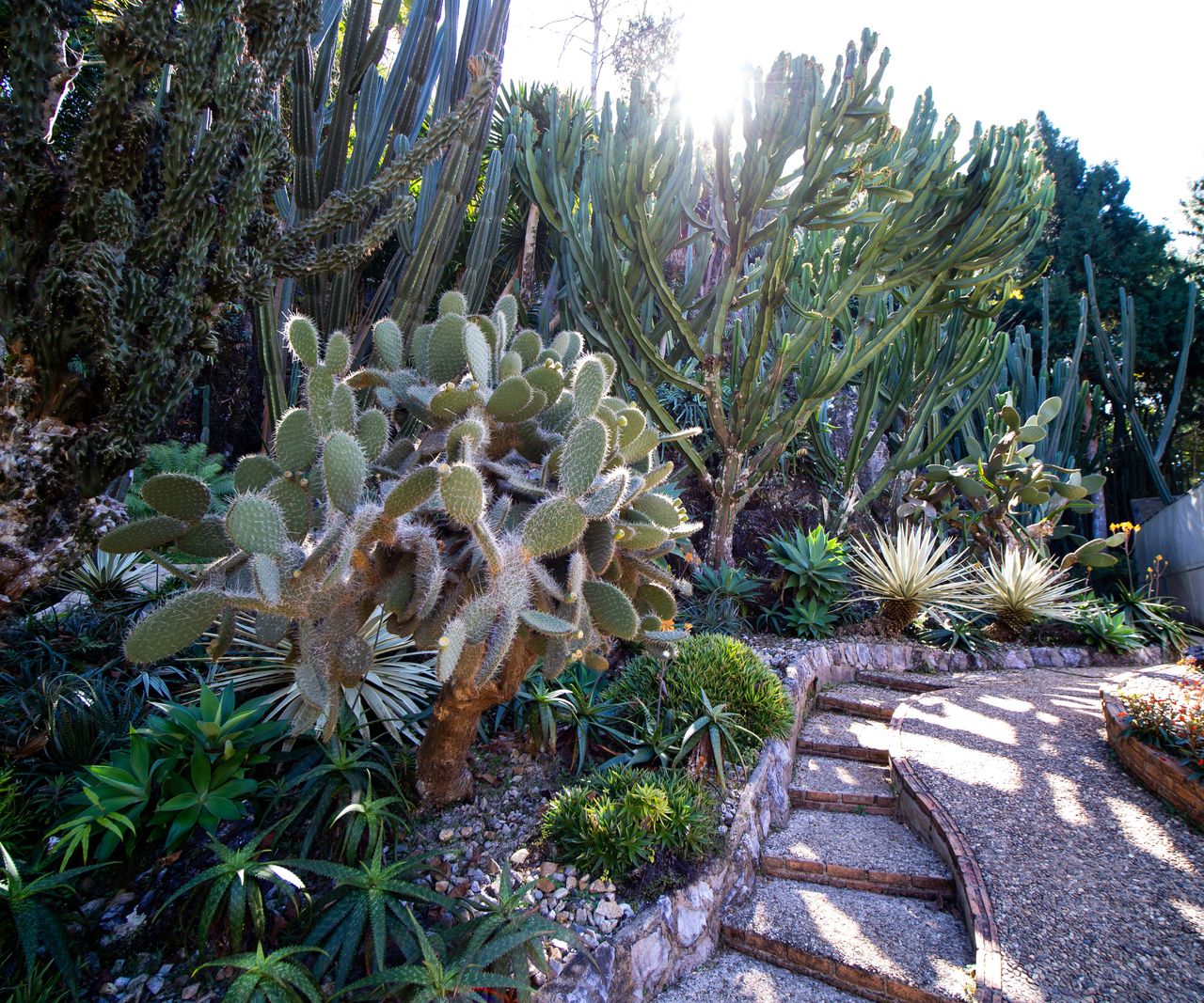 How to plant for home security | Homes and Gardens