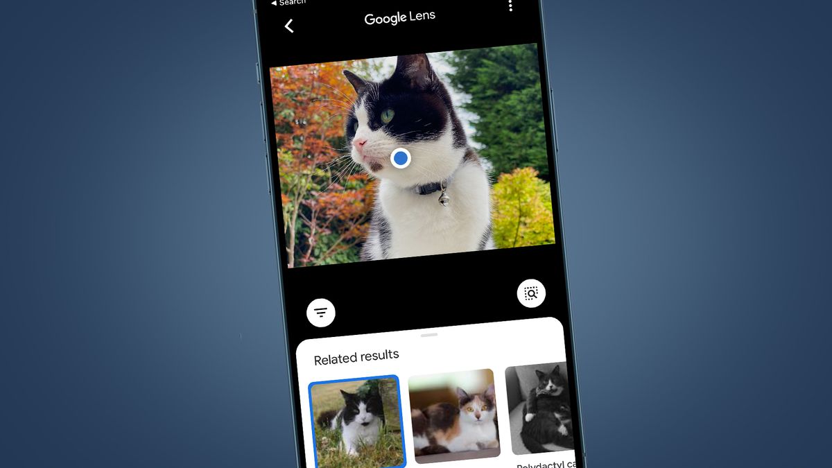 How to use Google Lens on your iPhone or iPad | TechRadar
