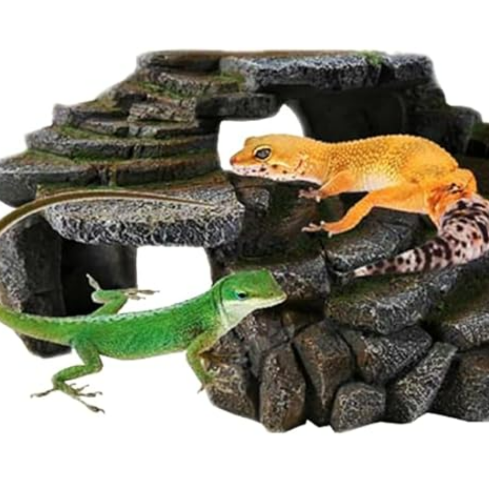The best toys for pet lizards in 2025 for enrichment | PetsRadar