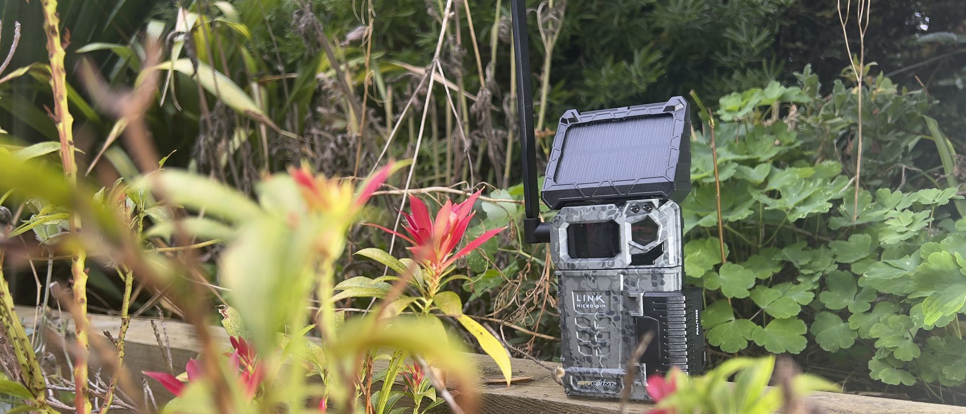 Spypoint Link-Micro-S-LTE trail camera review | Digital Camera World