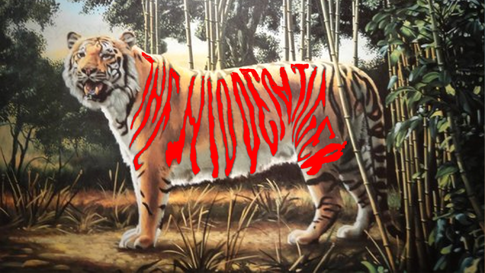 We're still loving the hidden tiger in this perplexing optical illusion ...