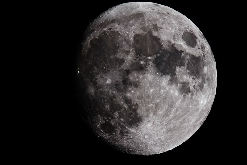 6 Wild Ways the Moon Affects Animals | Live Science