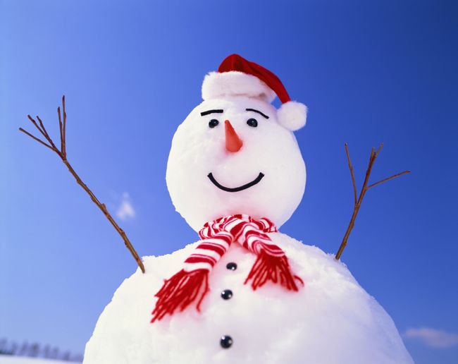 The Greatest Snowman: C4 release date line-up, how it works | What to Watch