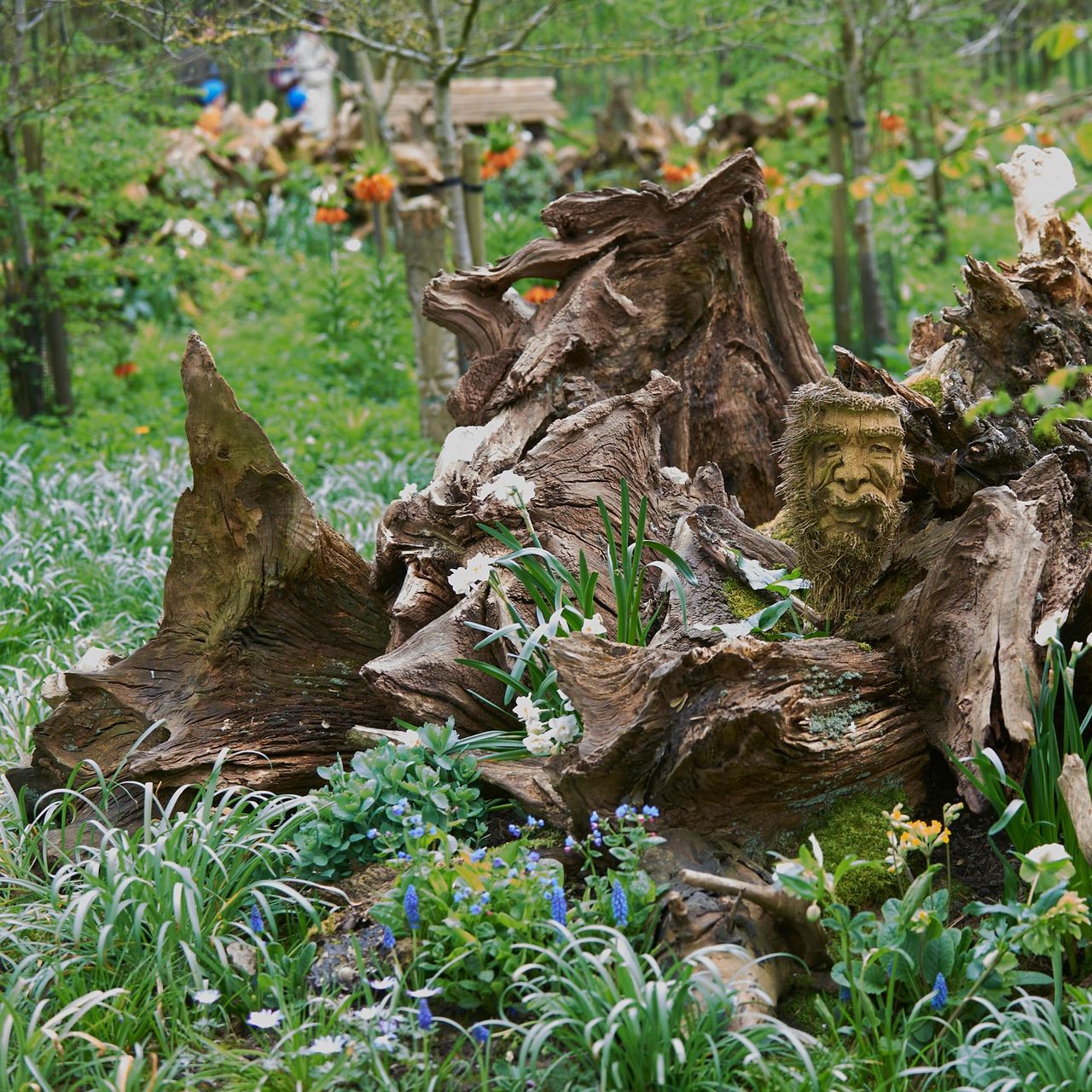 How to make a stumpery for your garden using tree stumps | Ideal Home